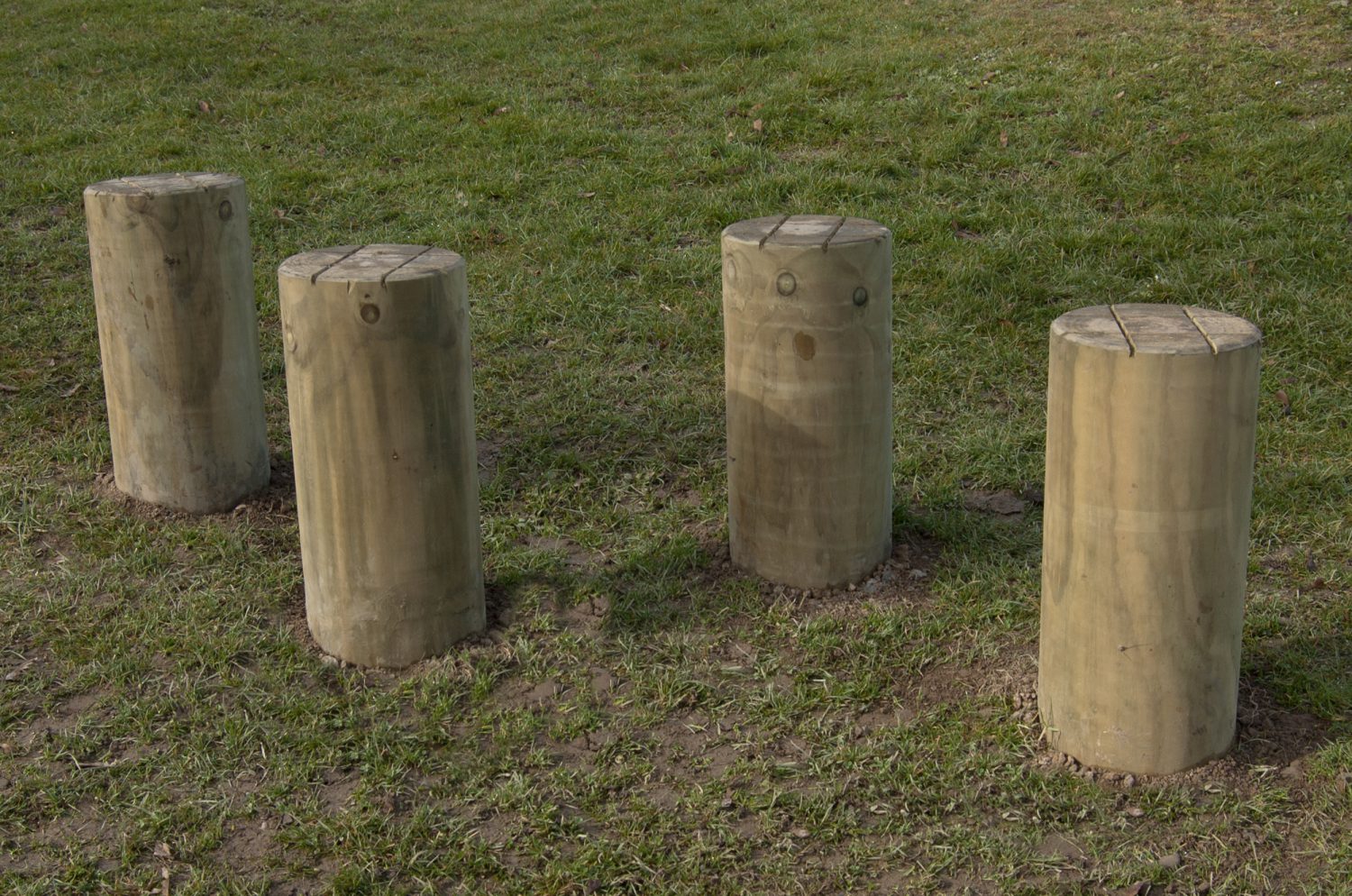 200mm Stepping Logs | Adventure Trails & Play Equipment