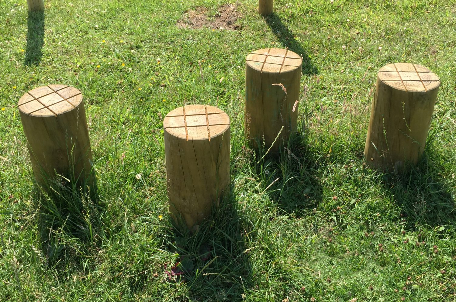 200mm Stepping Logs | Adventure Trails & Play Equipment