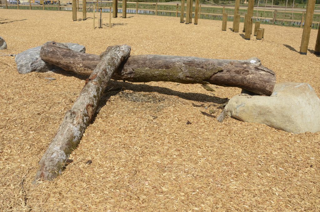 Natural Tree Trunks - Ray Parry Playgrounds