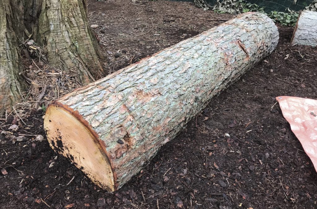 Natural Tree Trunks - Ray Parry Playgrounds