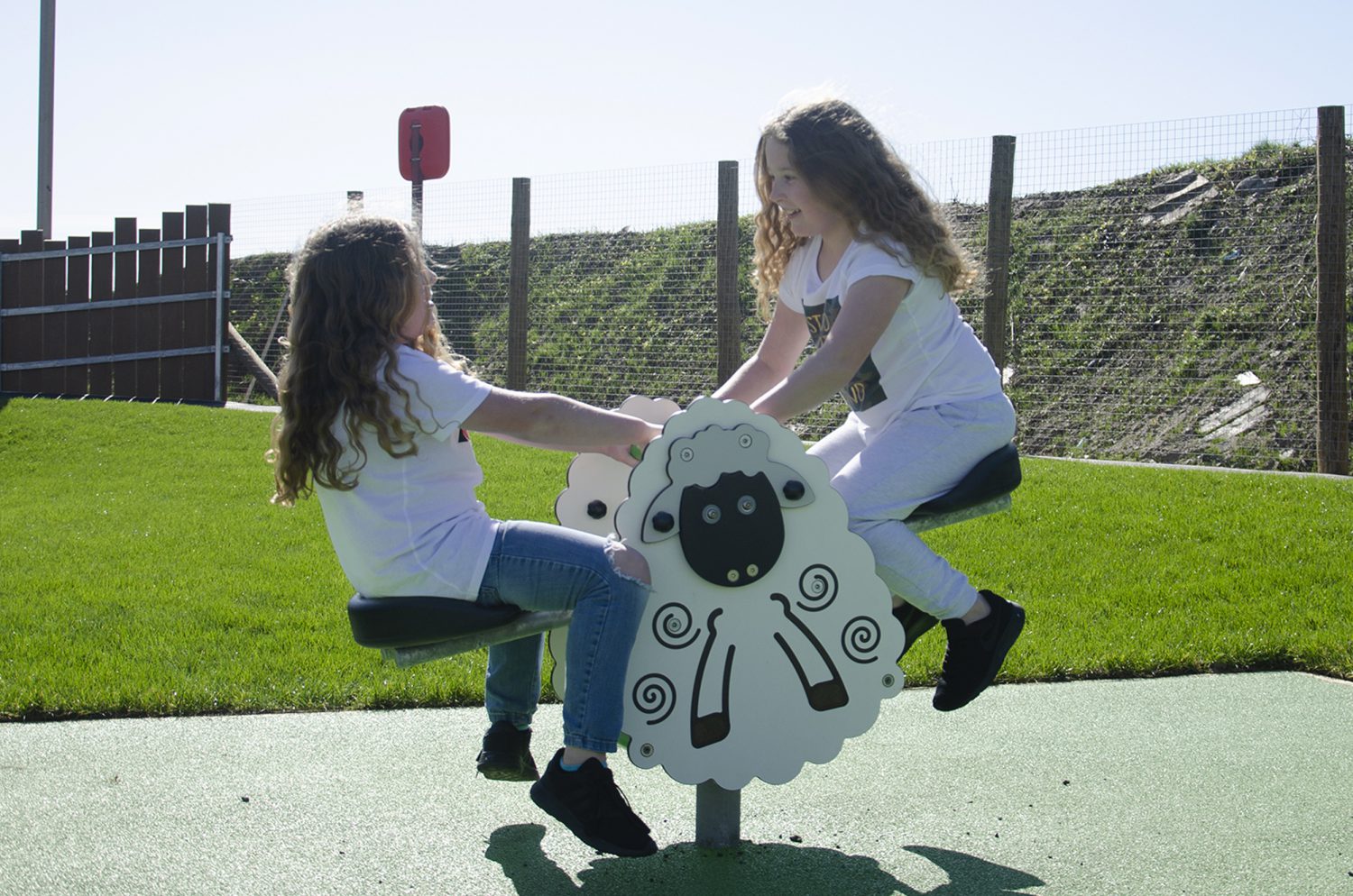 Shirley Sheep Spring Seesaw | Play Equipment In North Wales